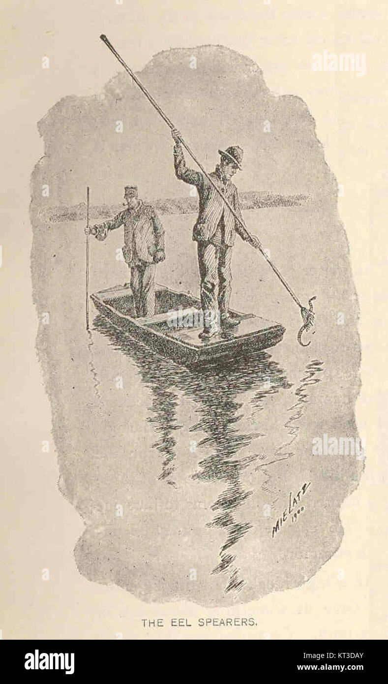 Eel spearers are specialized tools used in the fishing of eels. These ...