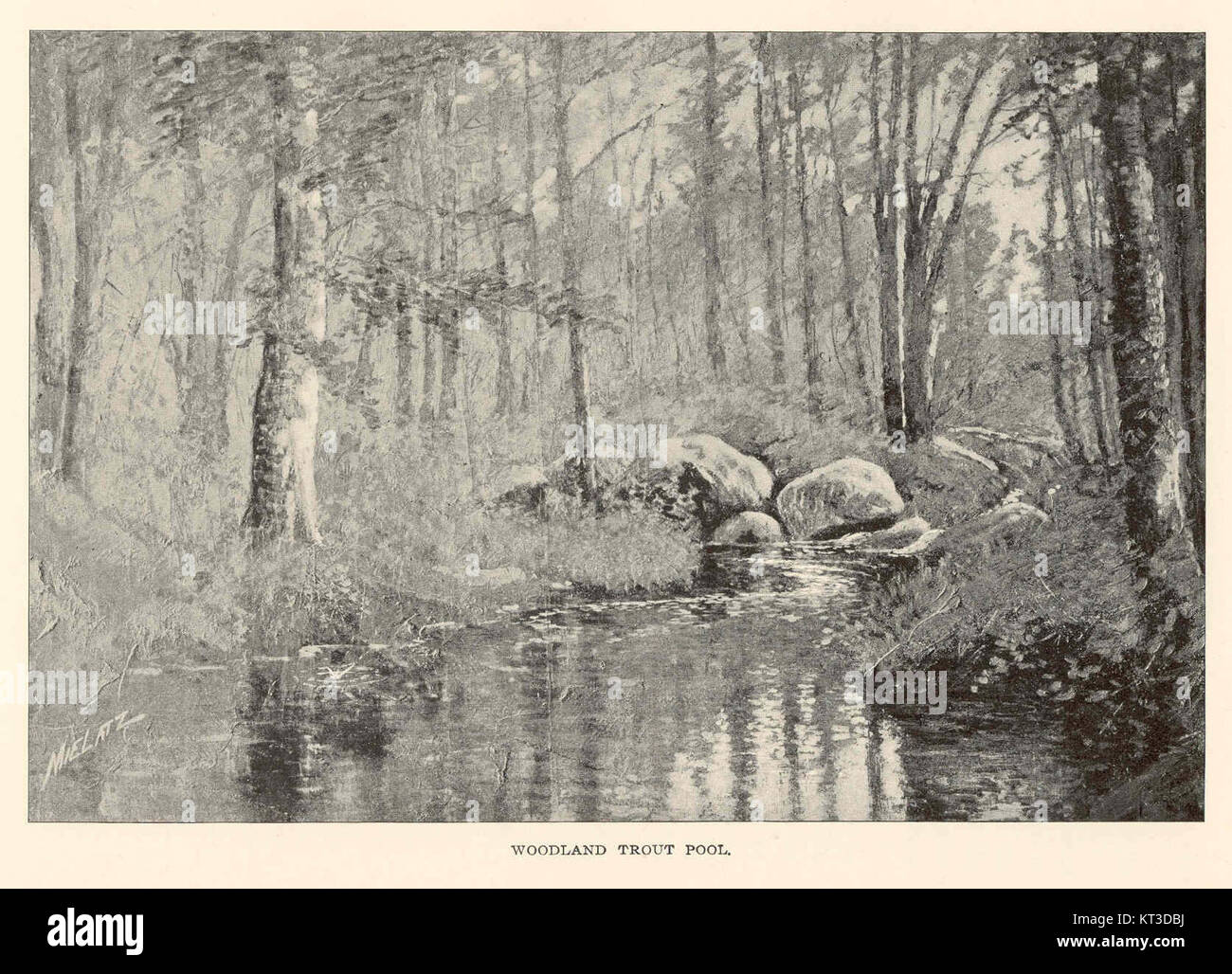 Woodland Trout Pool is a scenic body of water known for its natural ...