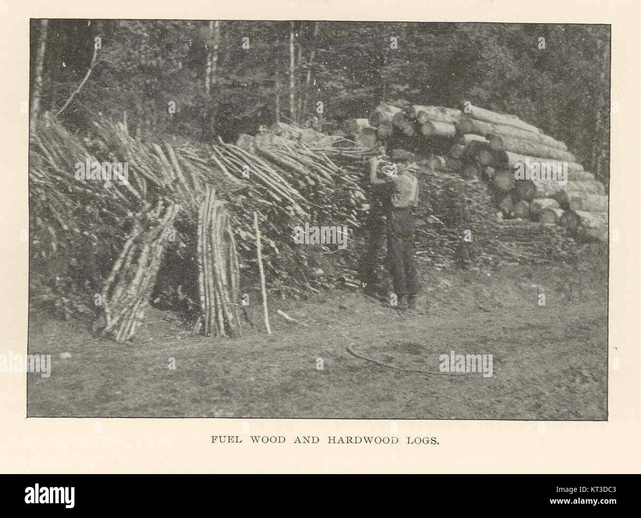 Wood fuel history hi-res stock photography and images - Alamy