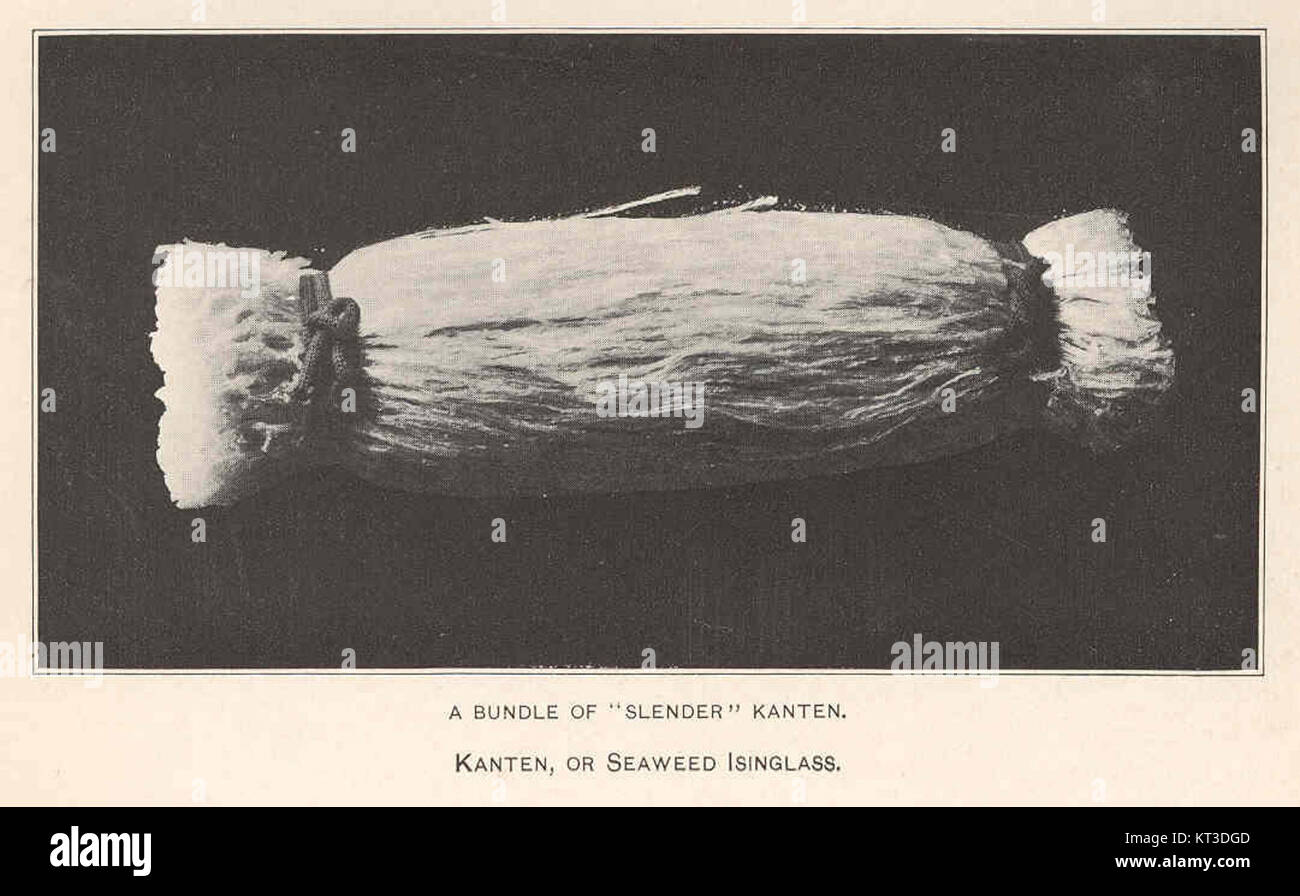 This image showcases a bundle of 'Slender' Kanten, a type of seaweed ...