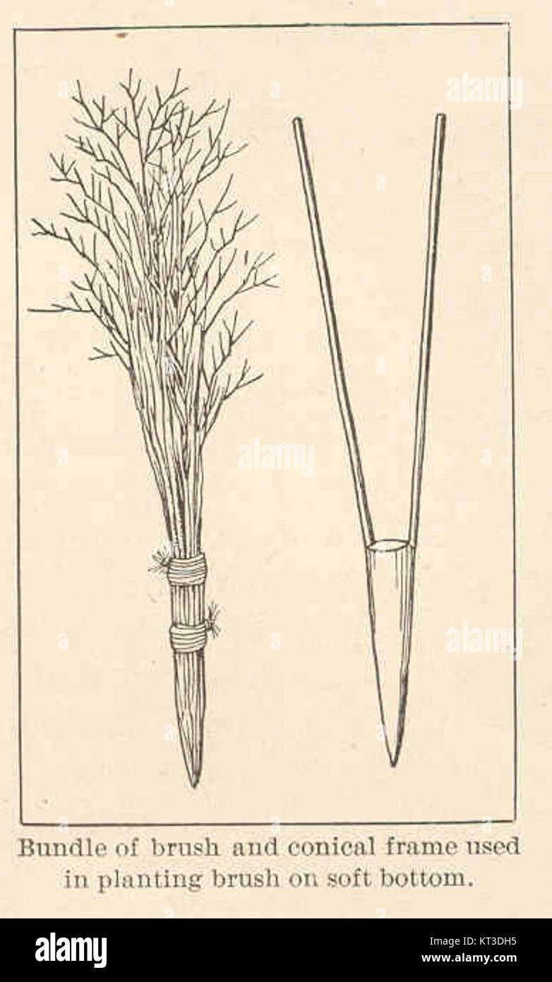 Conical bodies hi-res stock photography and images - Alamy