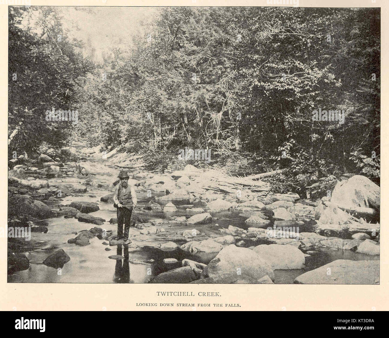 Photograph 41903 captures Twitchell Creek downstream from the falls ...