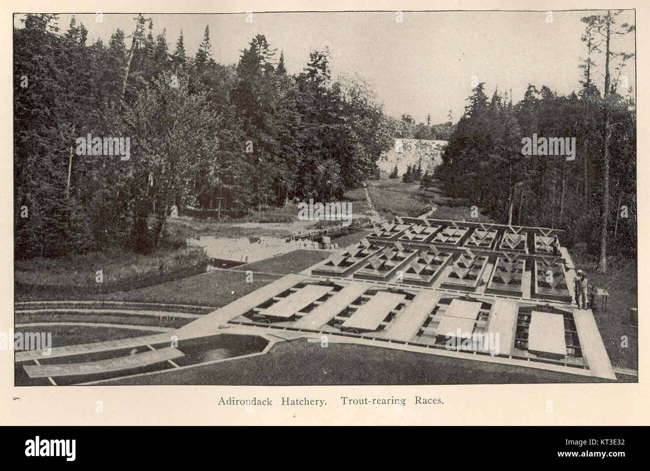 A photograph showing the trout-rearing races at the Adirondack Hatchery ...