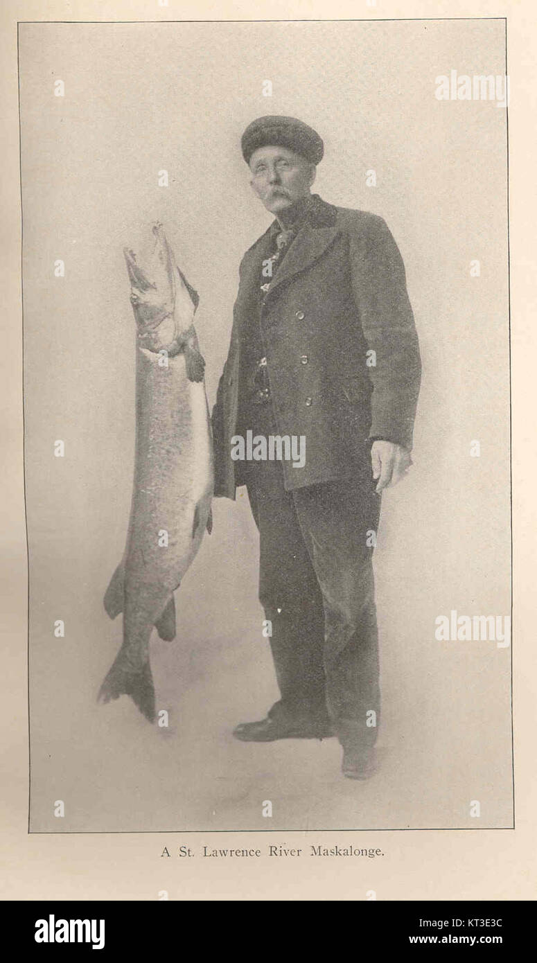 St lawrence river species hi-res stock photography and images - Alamy