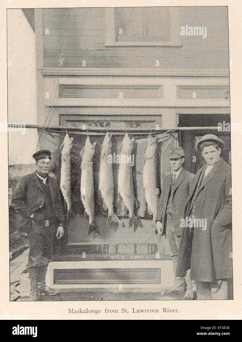 St lawrence river from space hi-res stock photography and images - Alamy