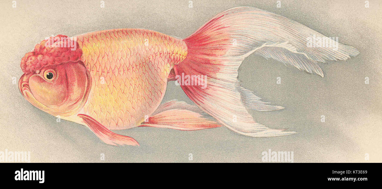 42132 Shukin could refer to a catalog number or a specific work of art by Shukin, possibly in a ...