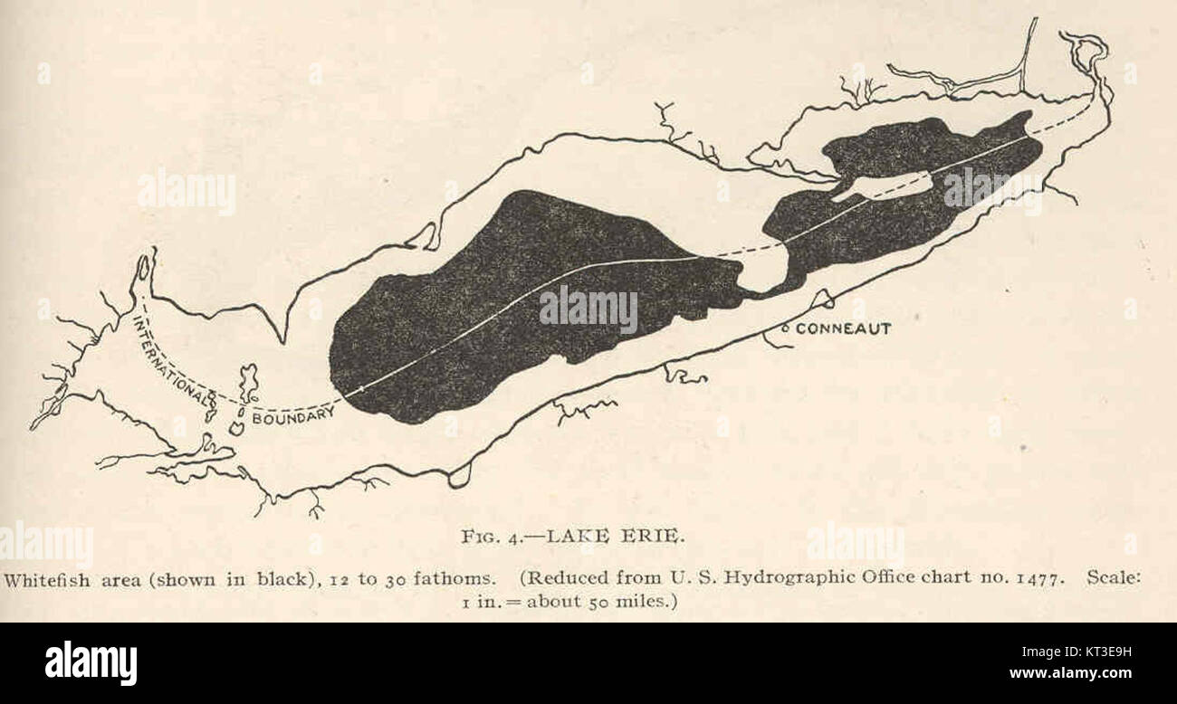 30 fathoms hi-res stock photography and images - Alamy