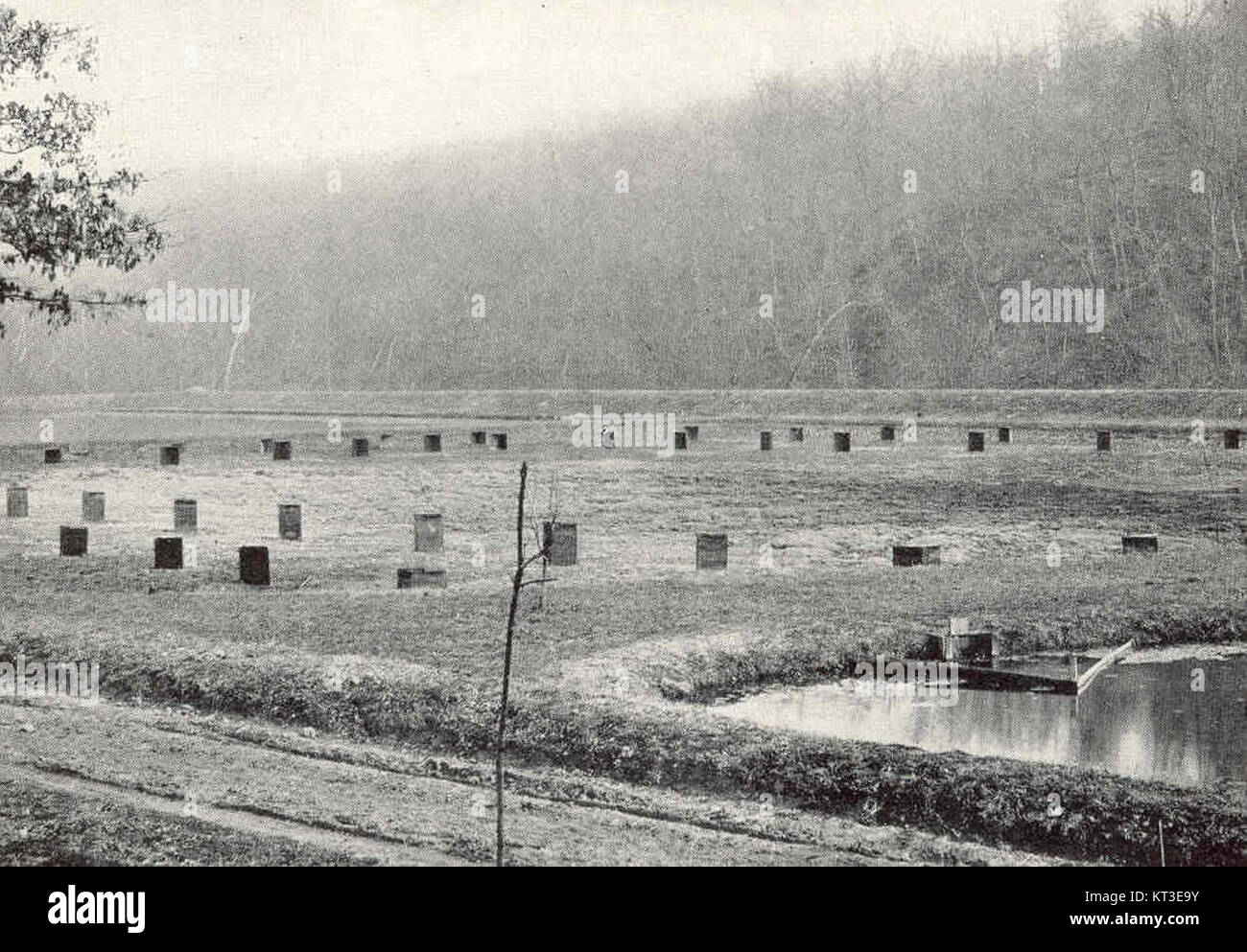 This image shows the 42210 Pond, where nest boxes were placed for ...