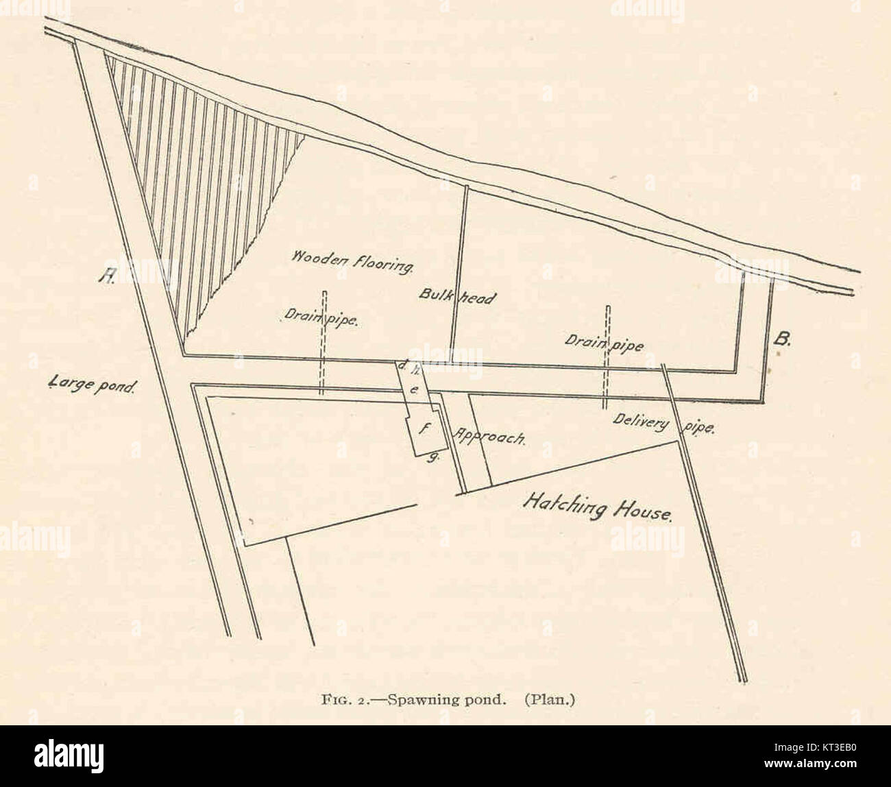 42248 Spawning pond (plan Stock Photo - Alamy