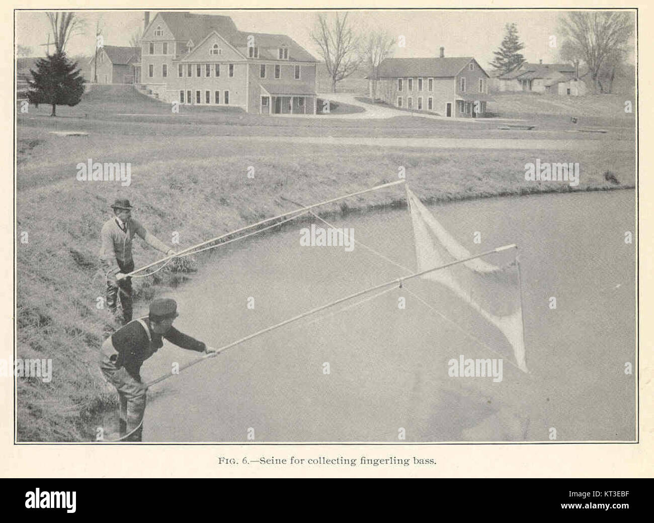 The seine net with the ID 42261 was used for collecting fingerling bass ...