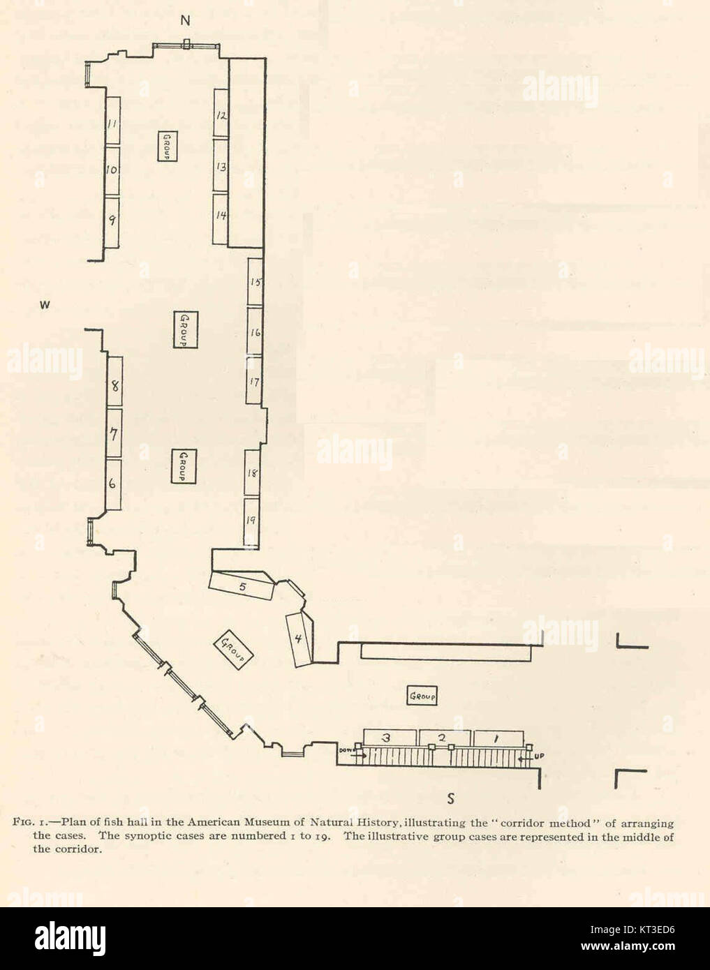 42309 Plan of Fish Hall in the American Museum of Natural History ...