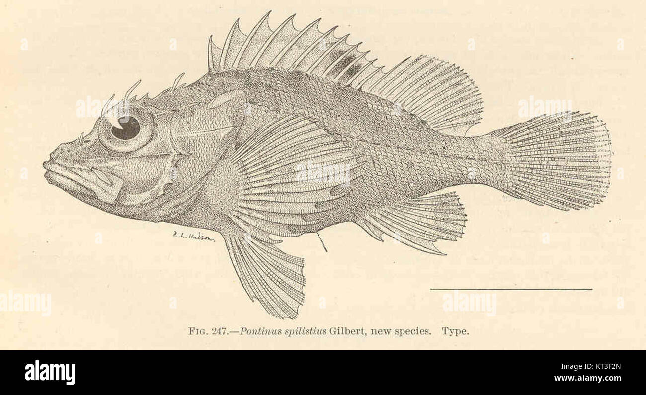 Recently identified hi-res stock photography and images - Alamy