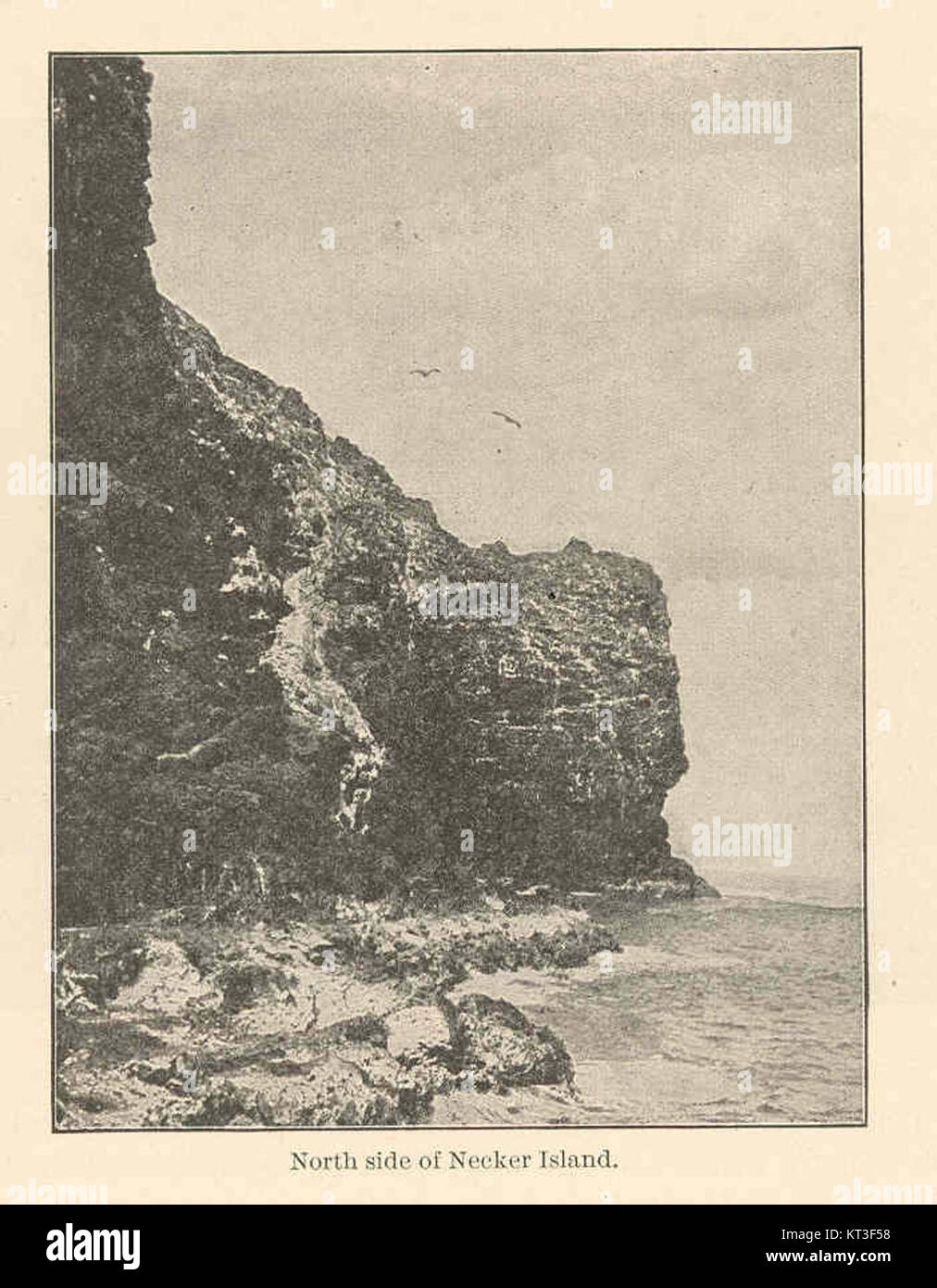 Necker island hi-res stock photography and images - Alamy