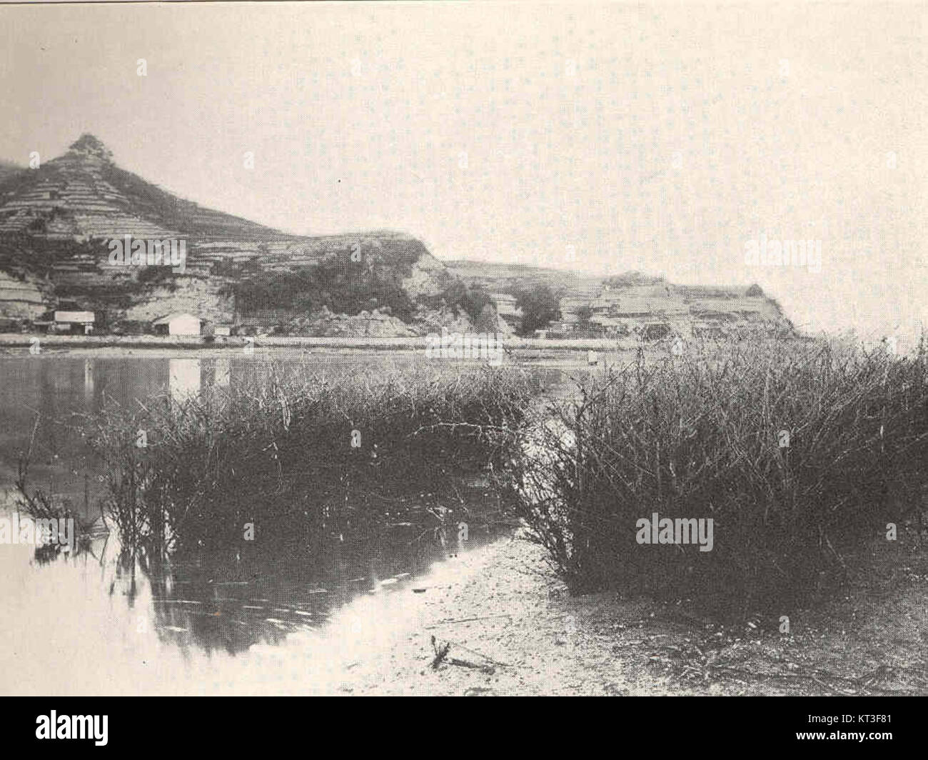 This image shows spat collectors placed outside Nihojima Inlet, used in ...
