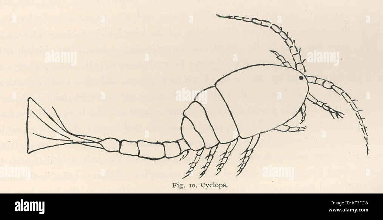 The 43014 Cyclops is a piece of historical machinery known for its role ...