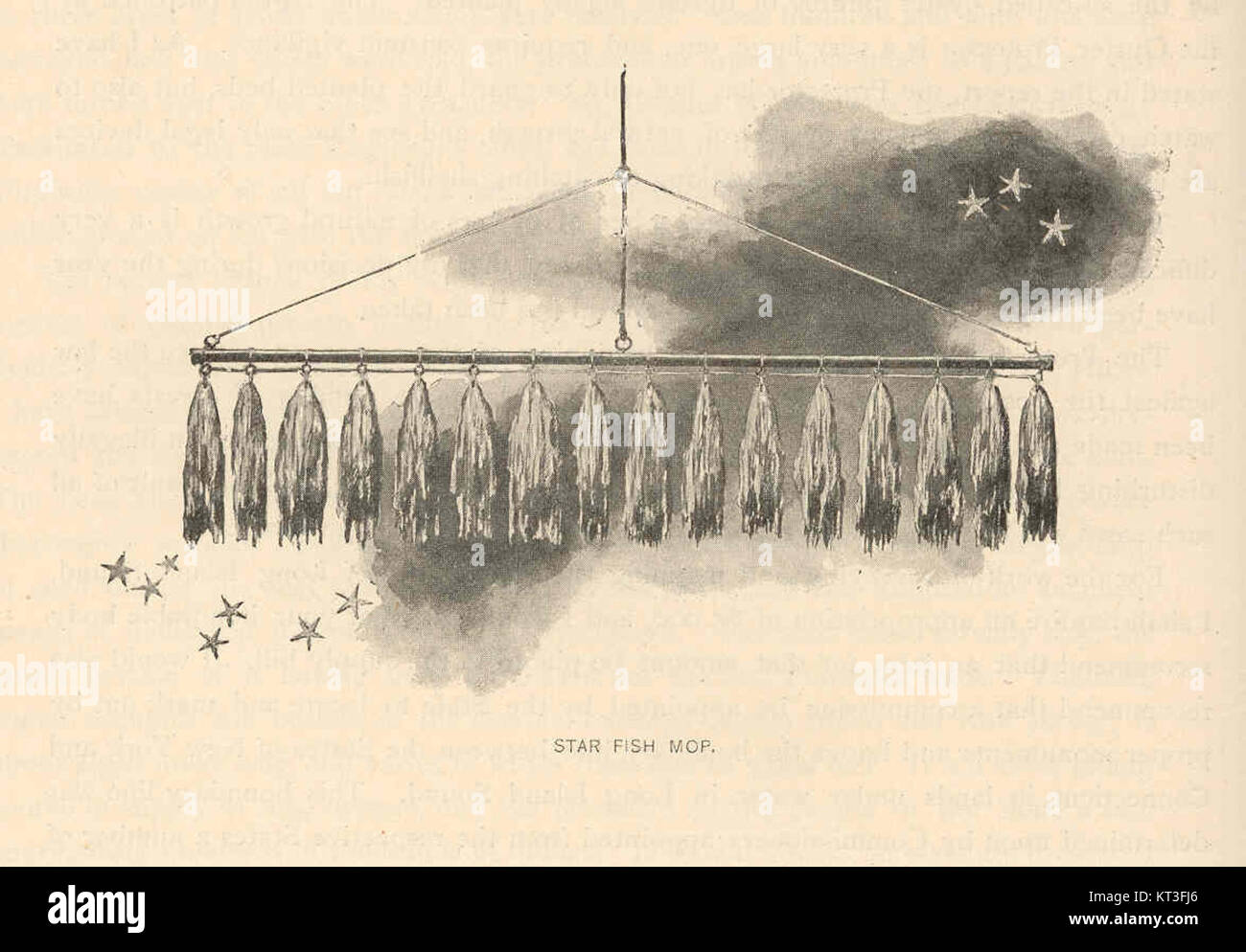 The Star Fish Mop is a cleaning tool designed for efficient dirt and ...