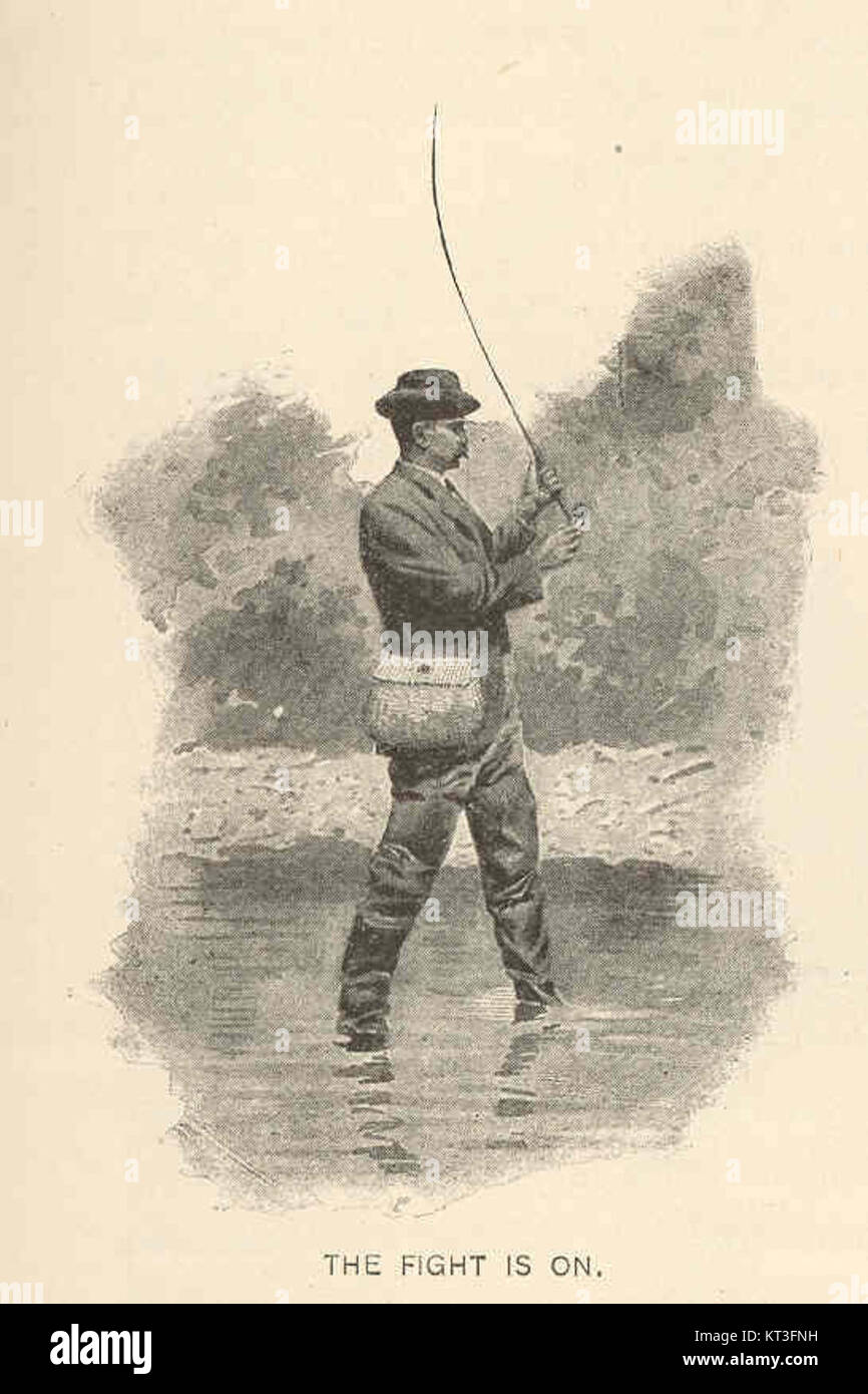 43109 The Fight is On Stock Photo - Alamy