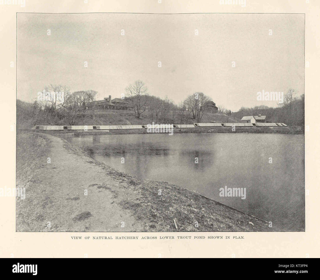 43123 View of Natural Hatchery across lower trout pond shown in plan ...