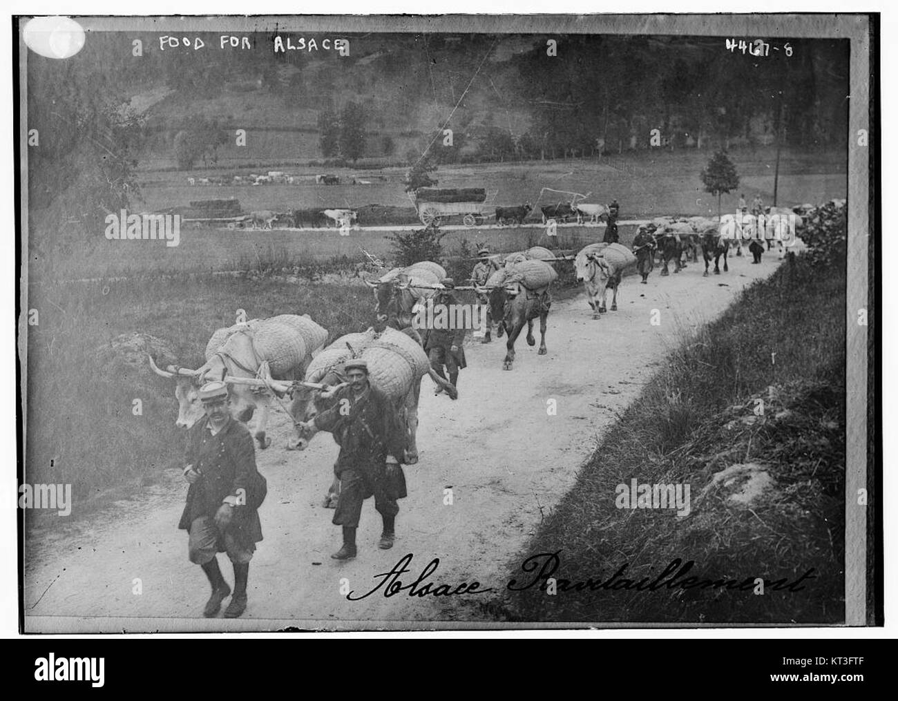 Produce of region Black and White Stock Photos & Images - Alamy