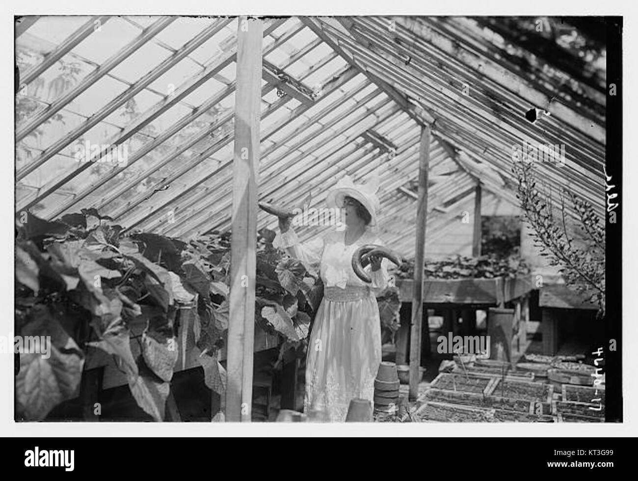 Frances alda hi-res stock photography and images - Alamy