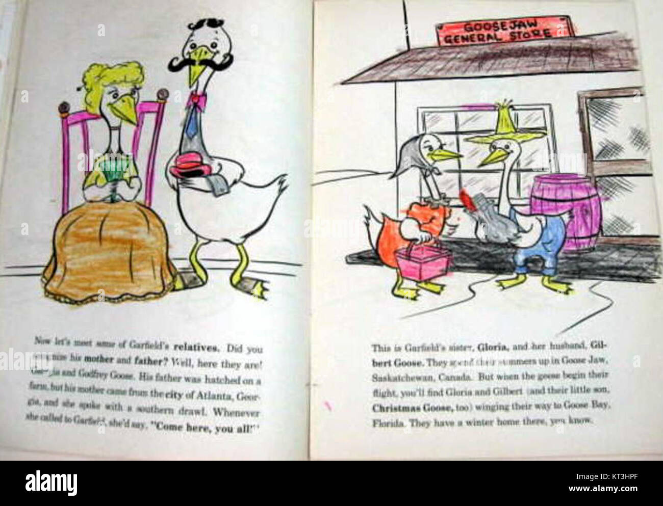 This 1953 book, Garfield Goose, features stories about Garfield the ...