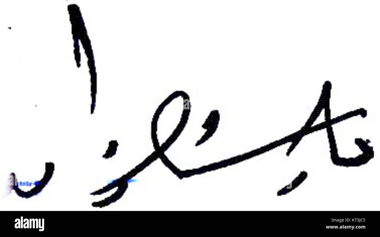 The signature of AllahÃ‡Ä±kÄ±n PaÅŸazadÄ±n, a Turkish figure, dated May ...