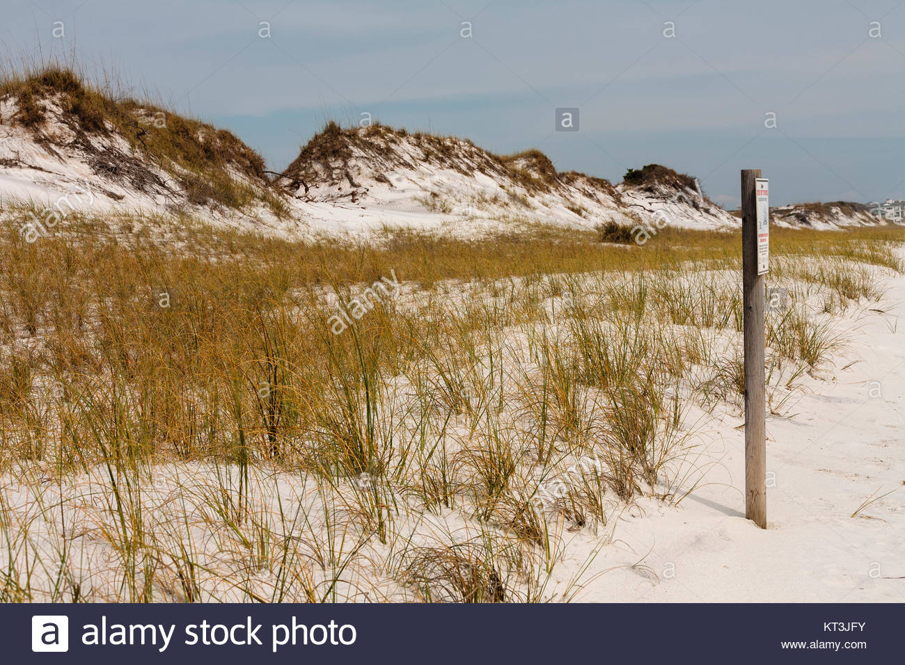 Sand Dune Stabilization Stock Photos & Sand Dune Stabilization Stock ...