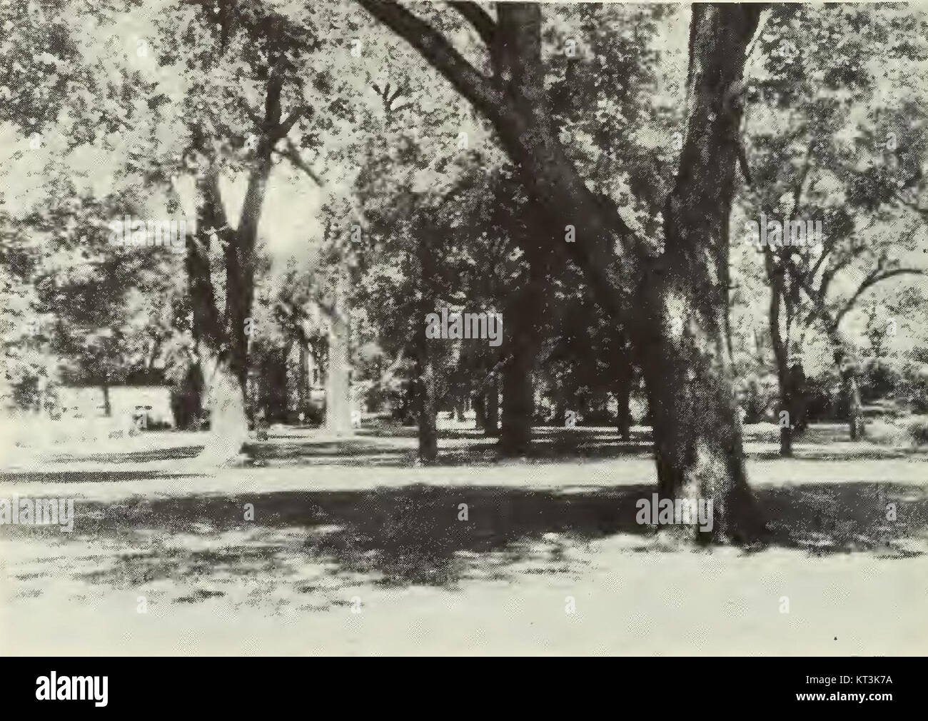 Gilson Park in Wilmette, Illinois, is a public park known for its green ...