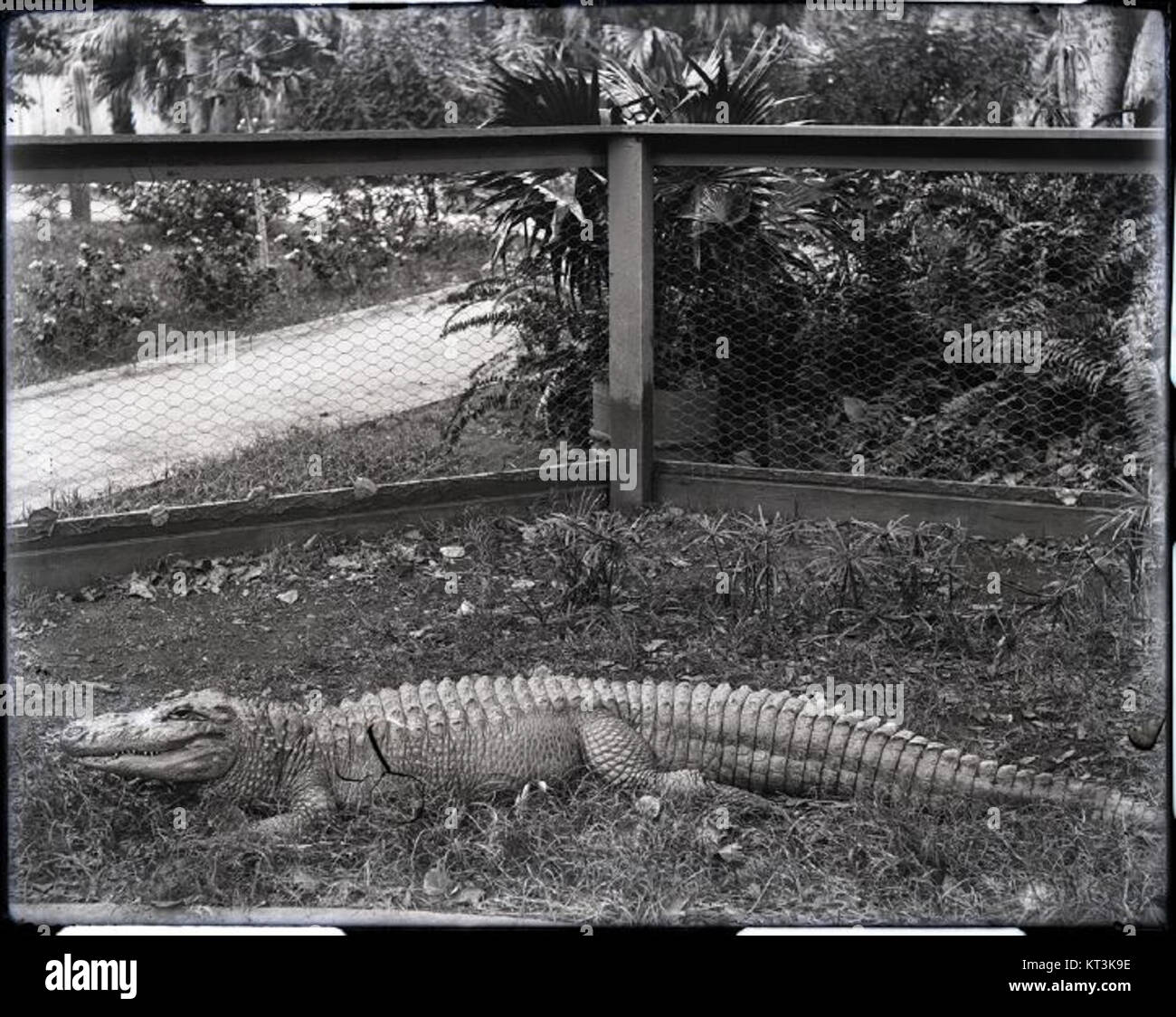 This is a historical photograph taken by Brother Bertram, showing an ...