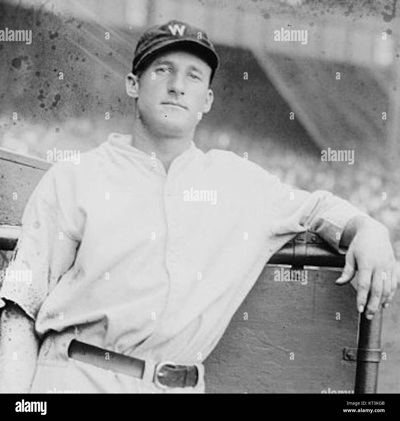 Goose goslin hi-res stock photography and images - Alamy