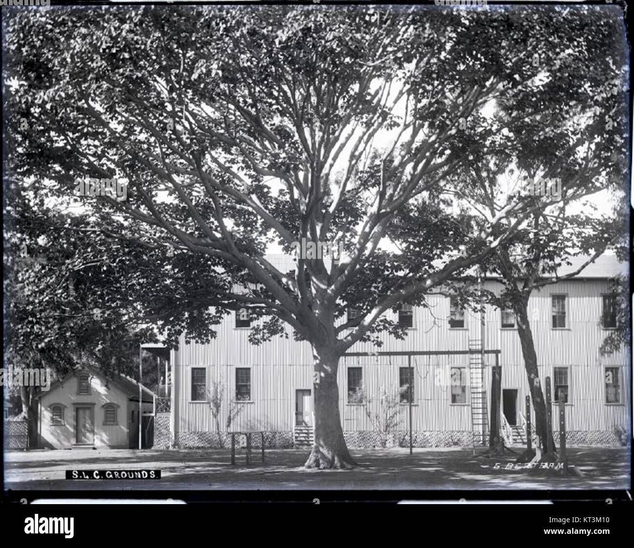 This photograph shows the grounds of Saint Louis College, taken by ...