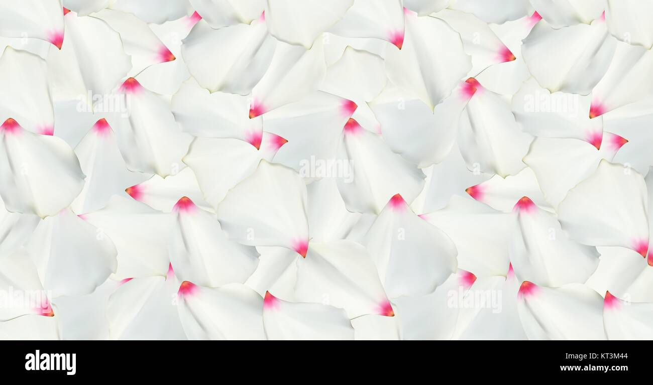 Small white petal flower Stock Vector Images - Alamy