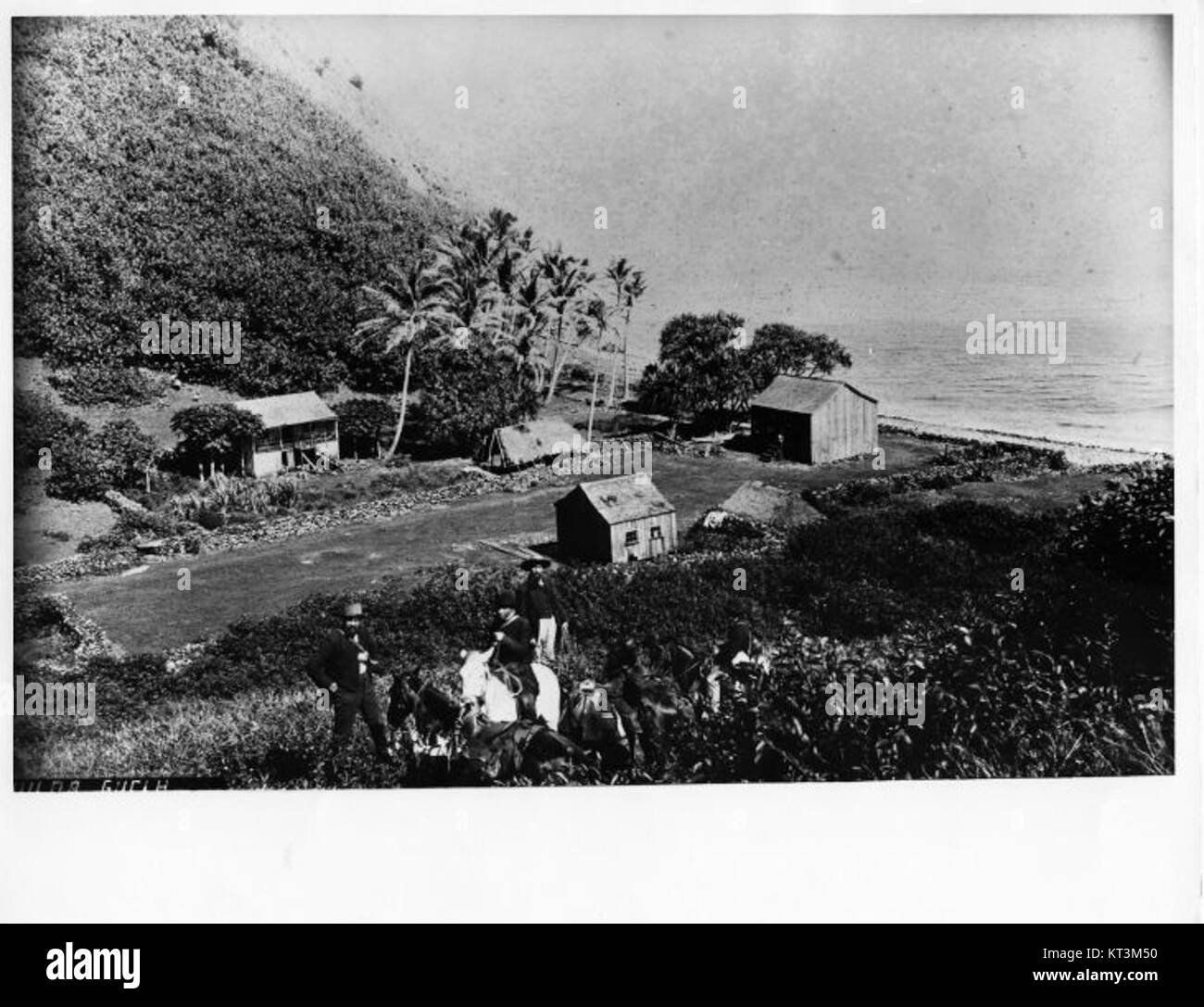 This photograph by Brother Bertram captures the rugged beauty of a ...