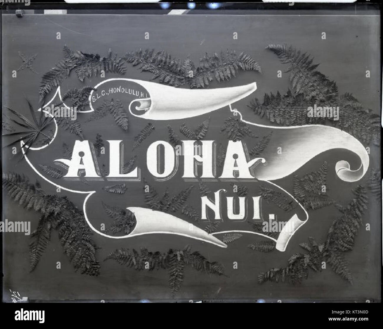 Aloha Nui Saint Louis College sec8 no103 0001 from Brother Bertram ...