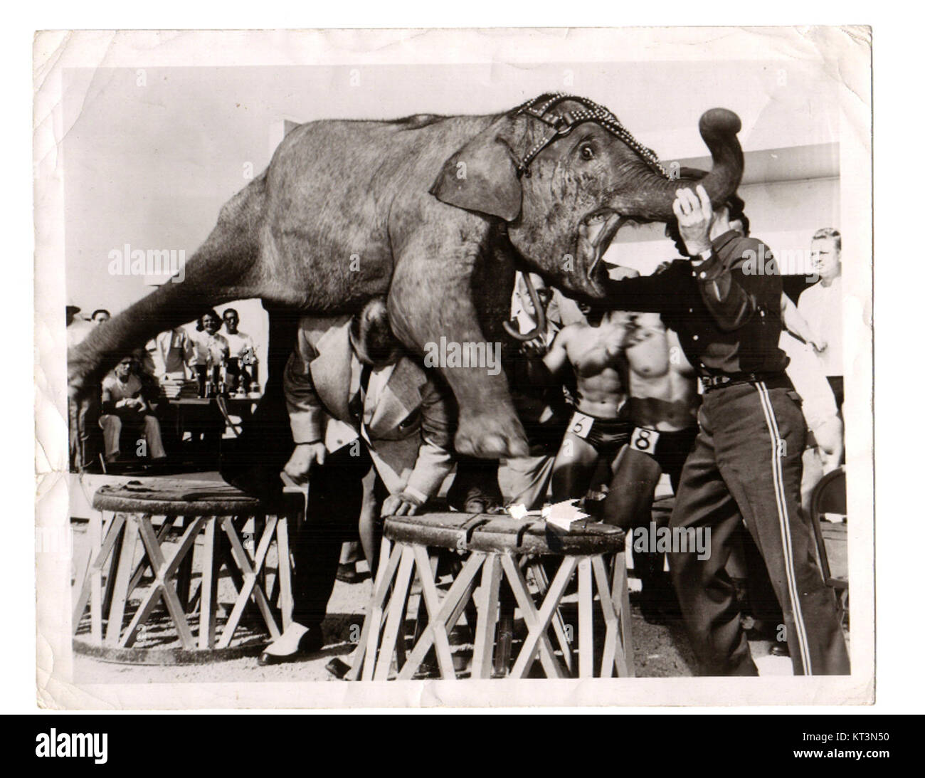 Steinborn hi-res stock photography and images - Alamy