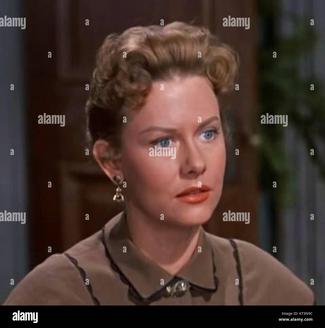 Westcott family hi-res stock photography and images - Alamy