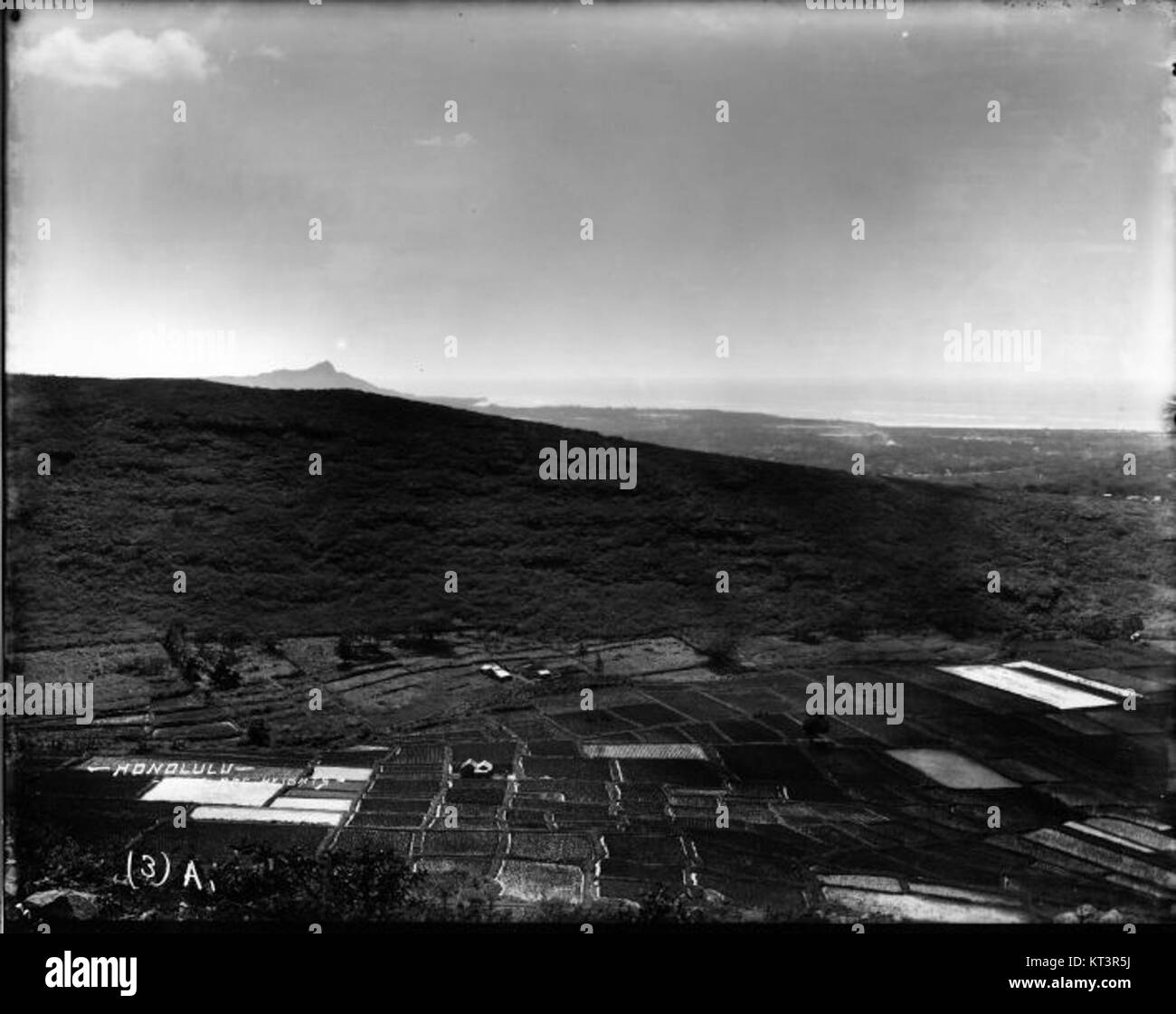 Stunning photograph captures beauty Black and White Stock Photos ...