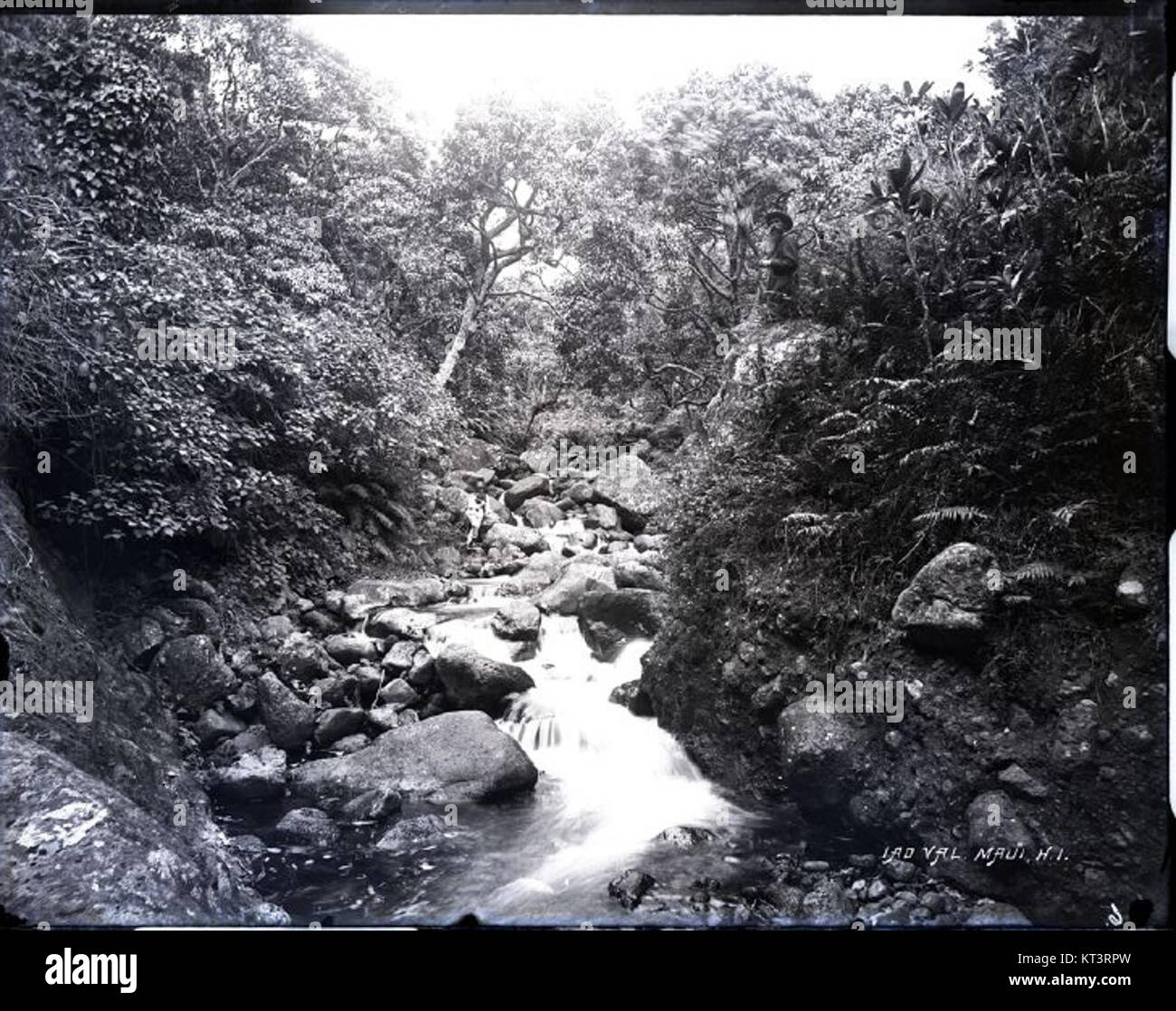 Iao Valley in Hawaii, captured by Brother Bertram, showcases the ...