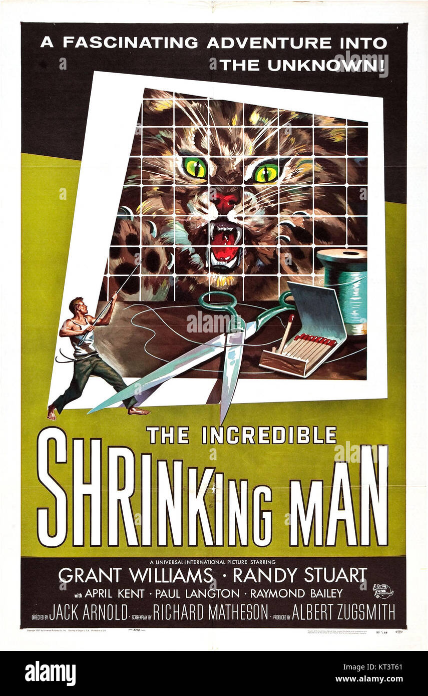 Poster for the 1957 science fiction film *The Incredible Shrinking Man ...