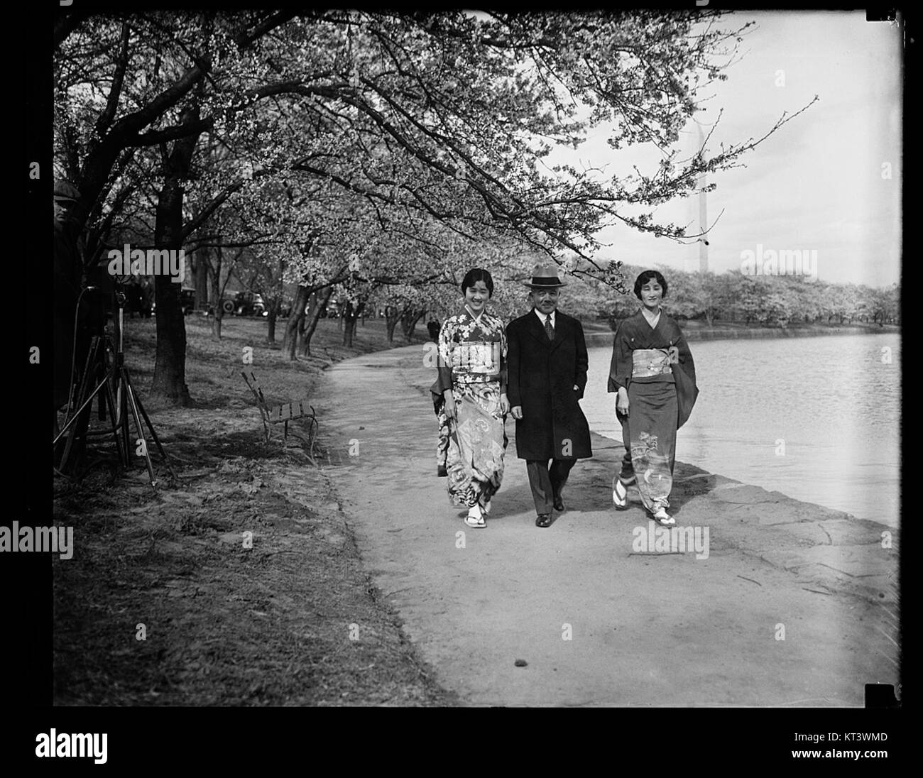 This photograph captures Japanese strollers during cherry blossom ...