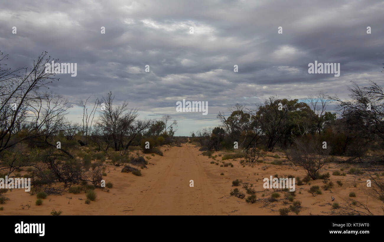 Track in the desert hi-res stock photography and images - Alamy