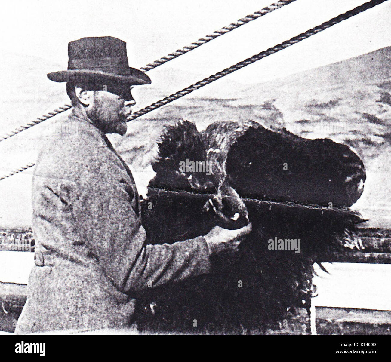 Josef Hammar, a noted individual from 1899, is depicted with a musk ox ...