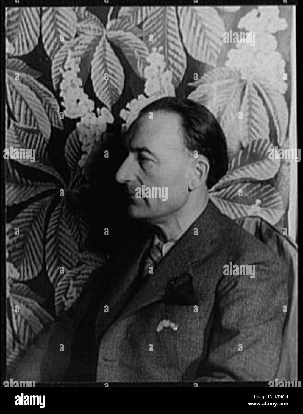 Jules romains hi-res stock photography and images - Alamy