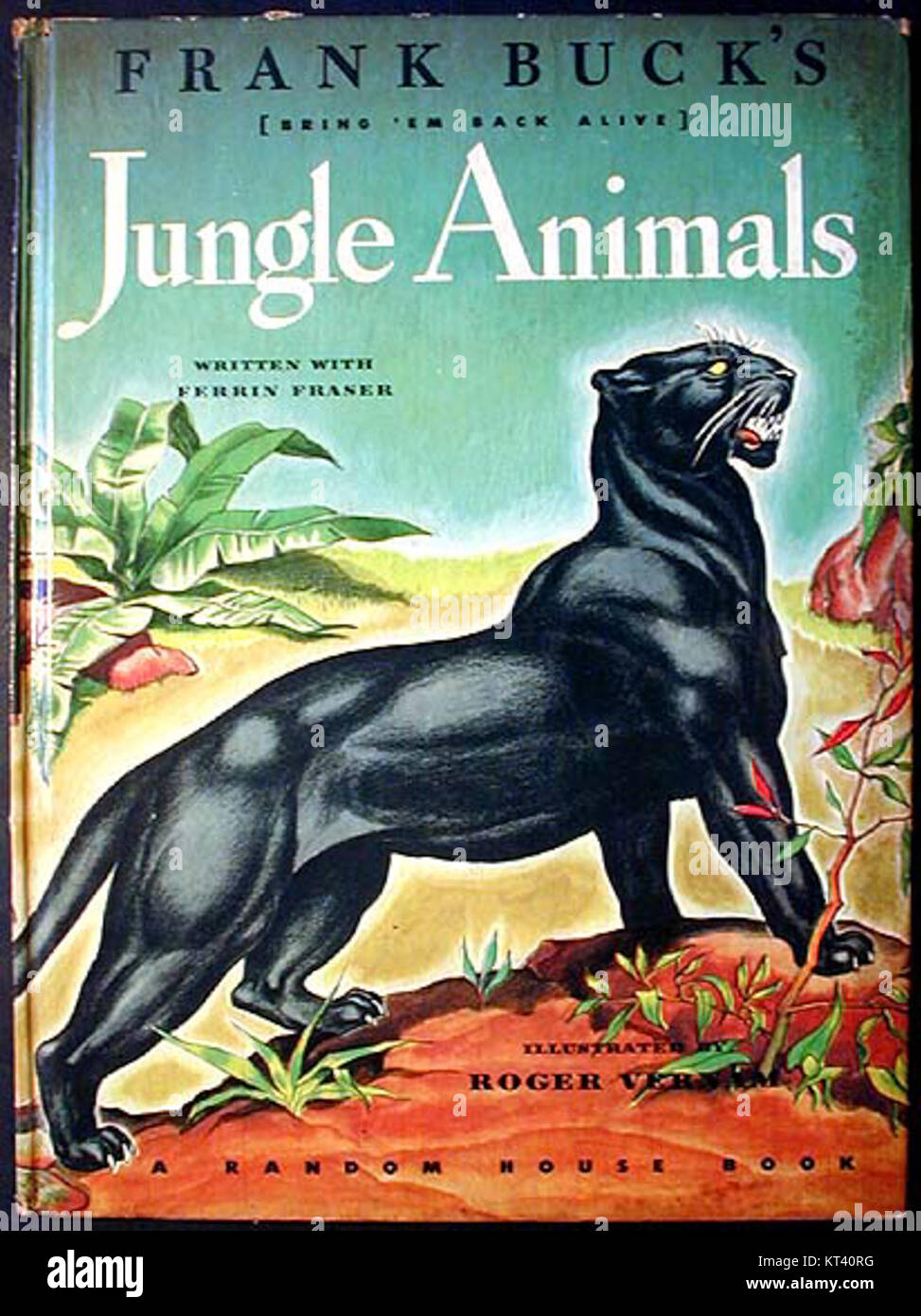'Jungle Animals' is a 1945 animated feature, known for its depiction of ...