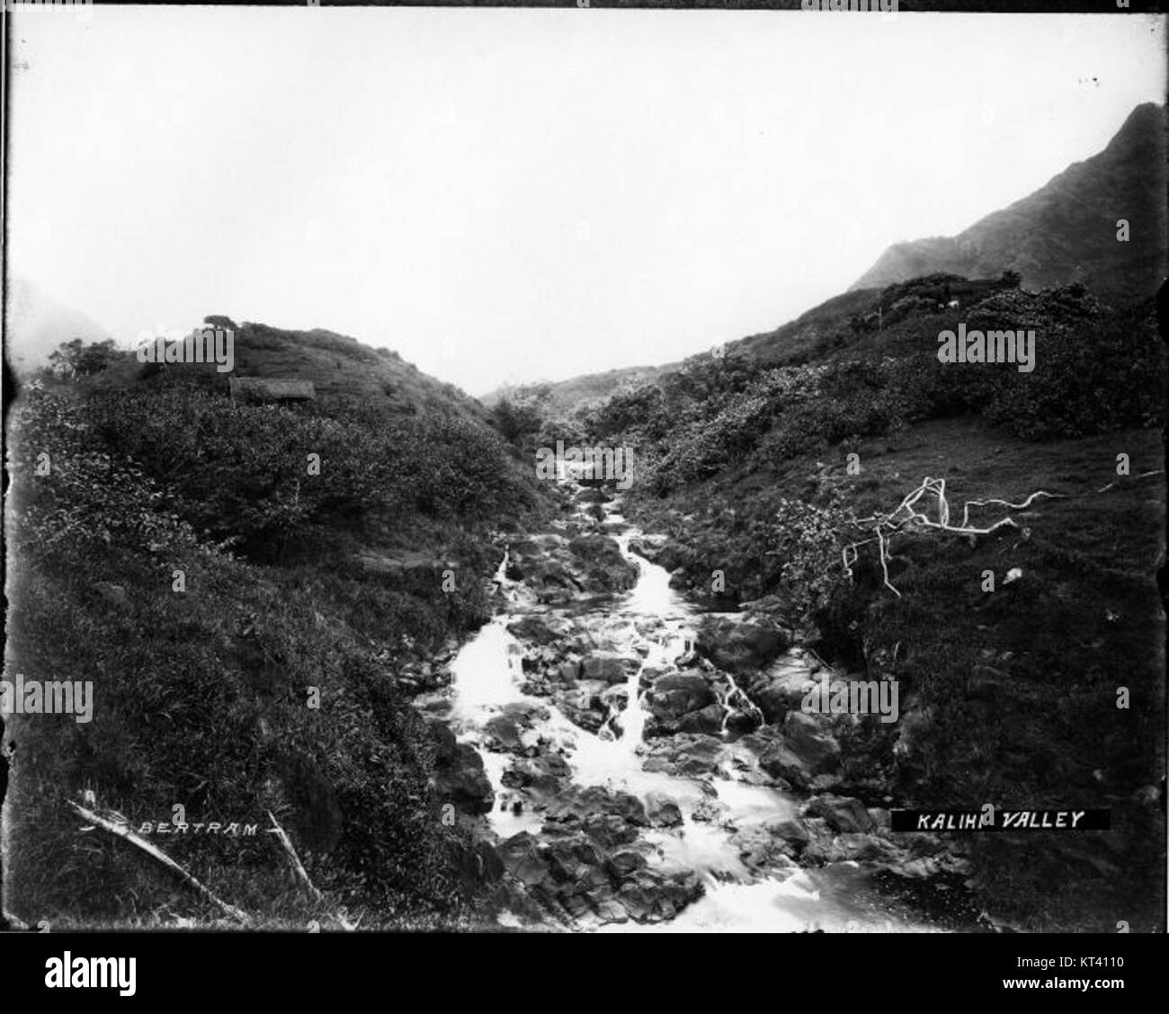 Photograph of Kalihi Valley taken by Brother Bertram, capturing the ...