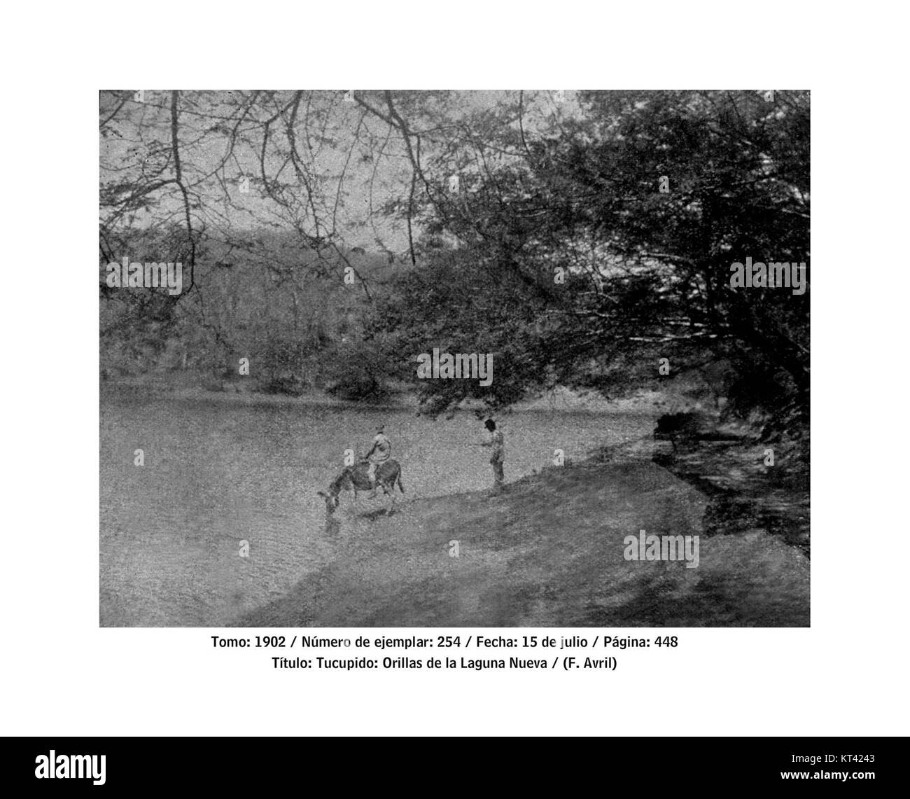 Reserve ecology Cut Out Stock Images & Pictures - Alamy