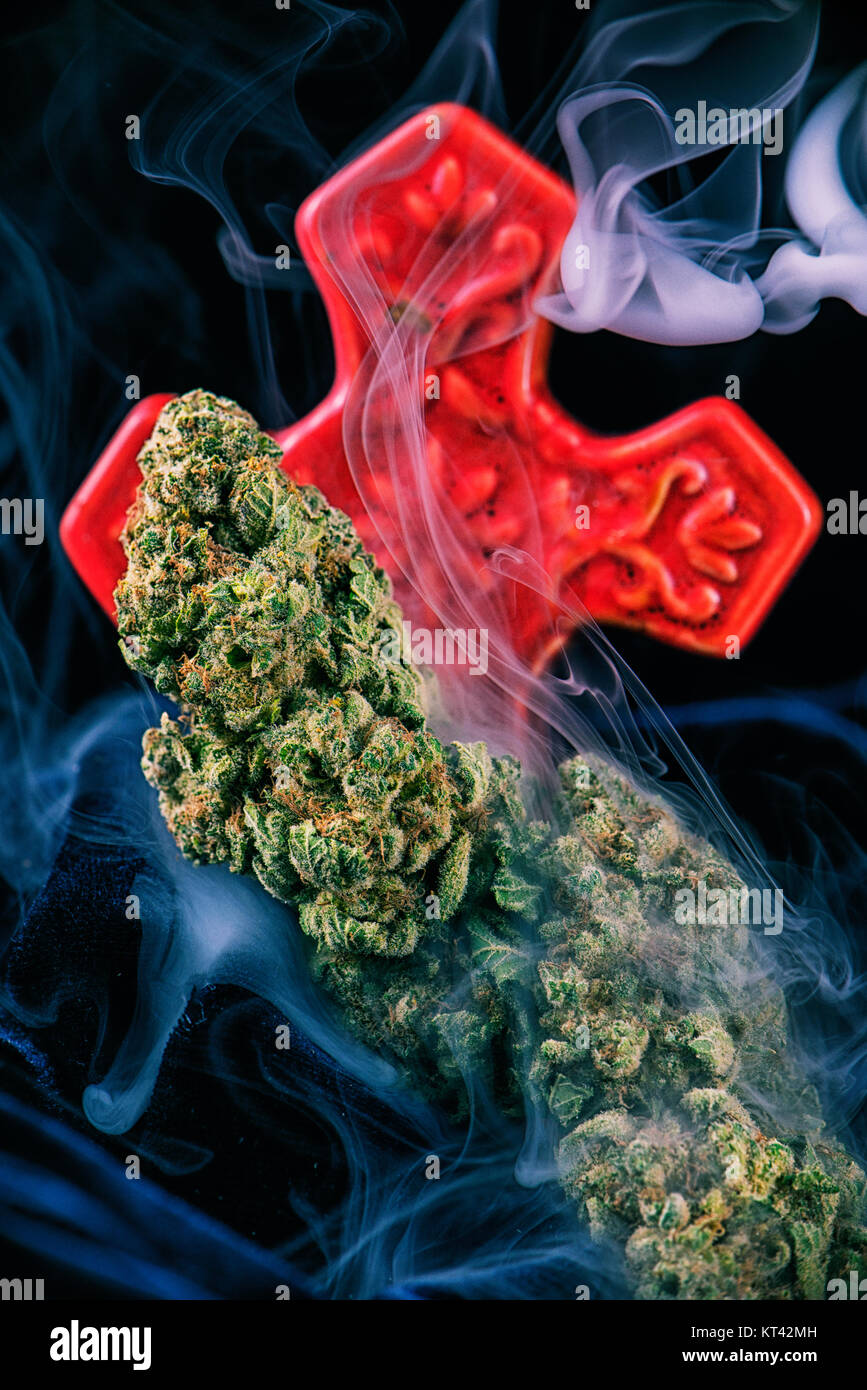 Detail of dried cannabis nugs (God bud marijuana strain) isolated over ...