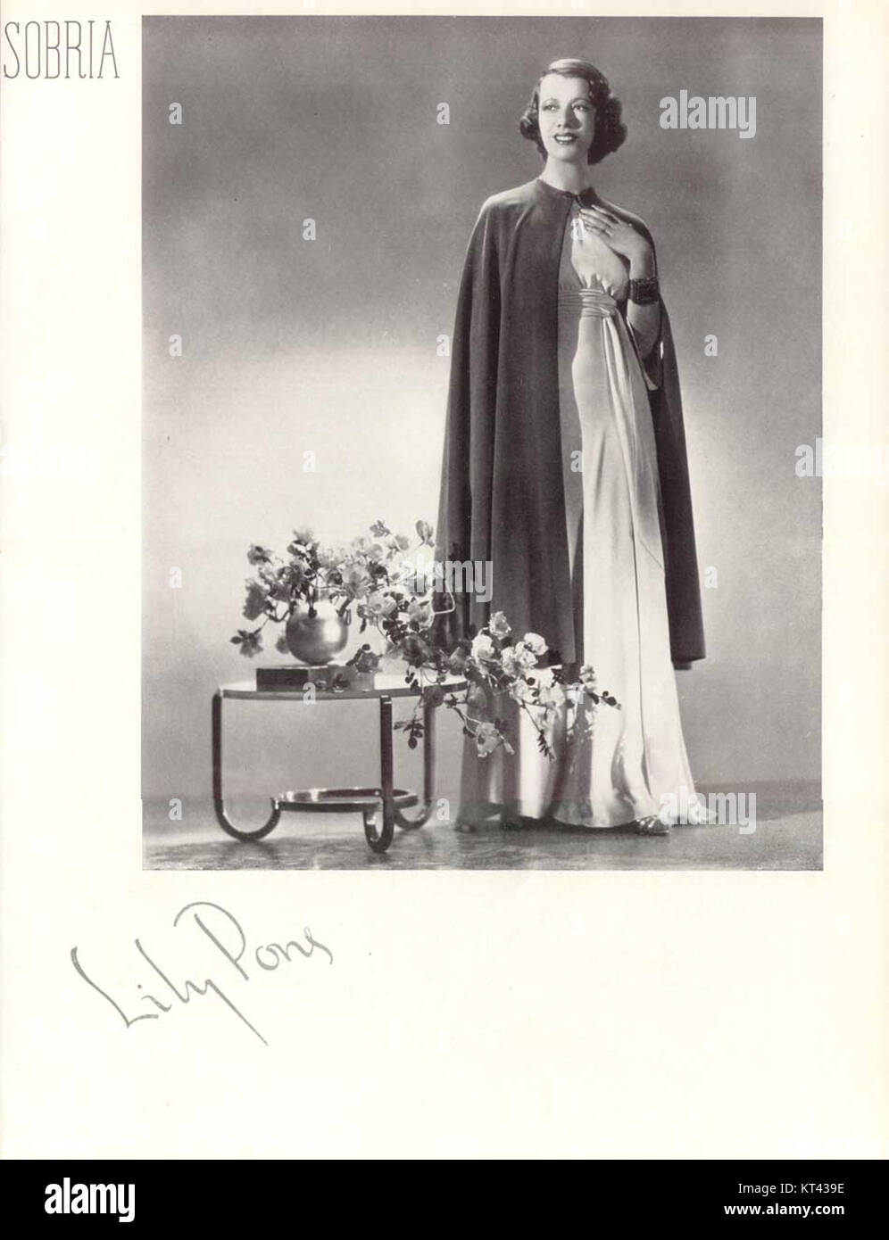 Magazine lily hi-res stock photography and images - Alamy