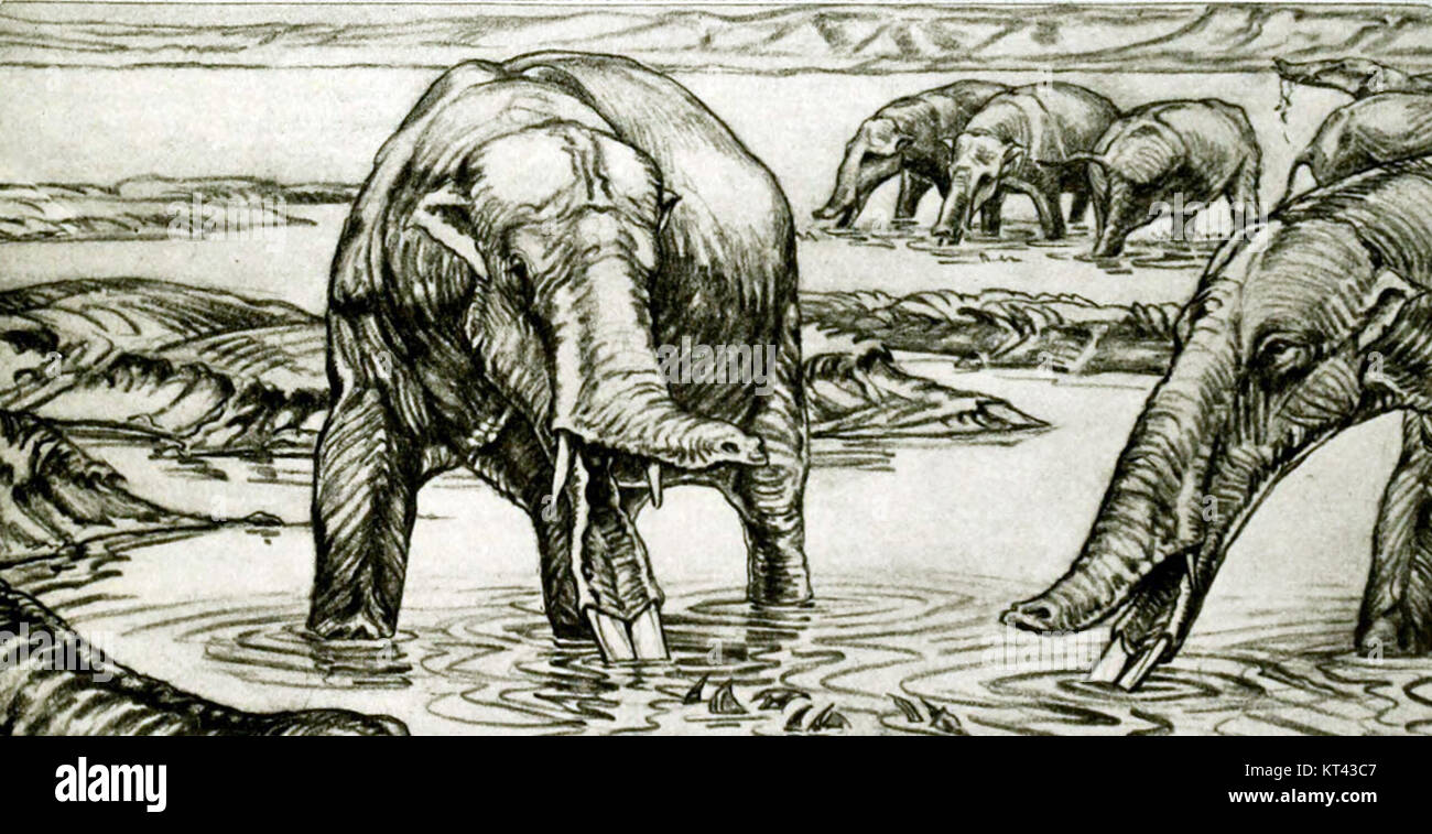 Where Did Archaeobelodon Live