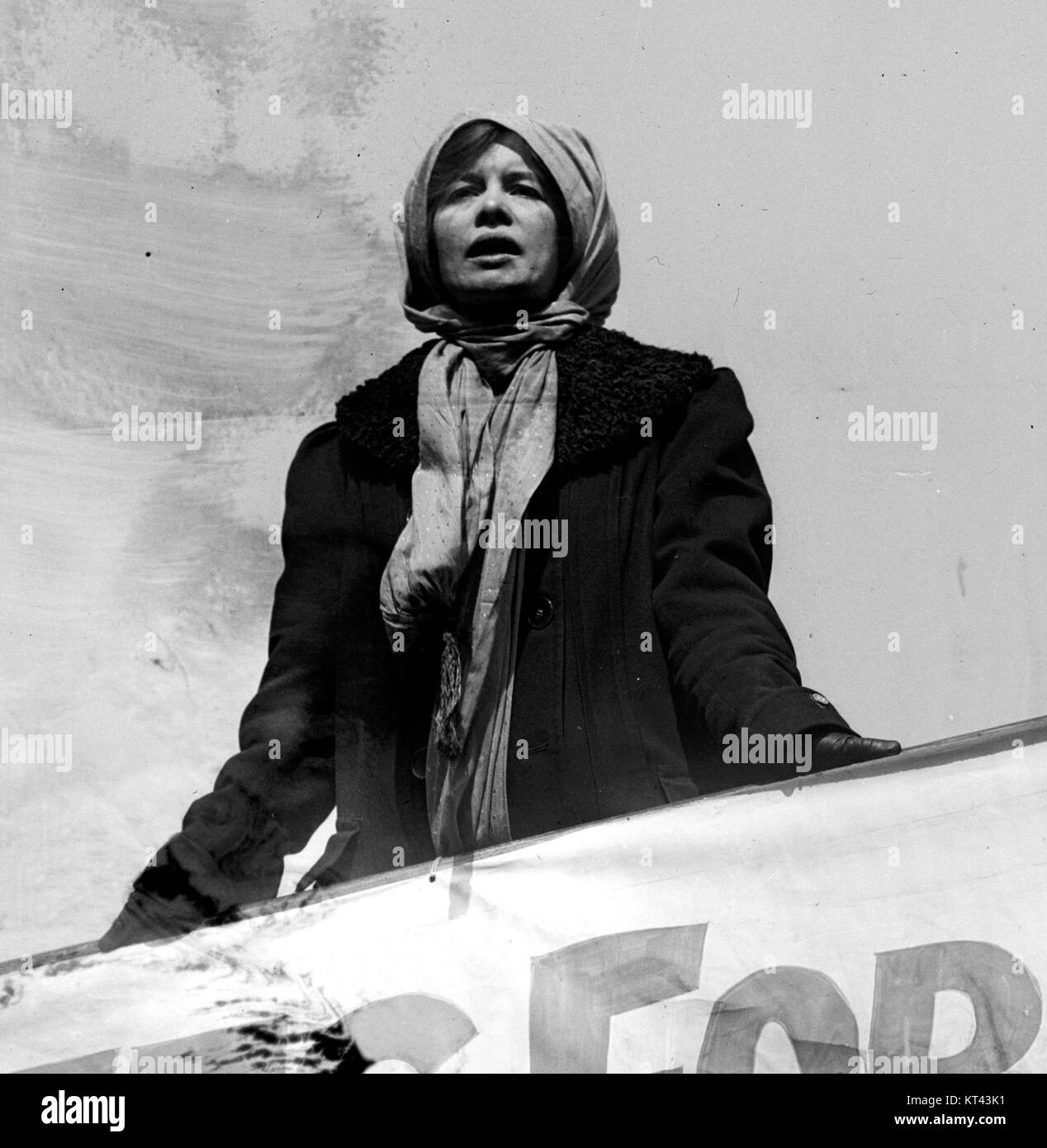 Liz Freeman is a notable figure in the entertainment industry ...